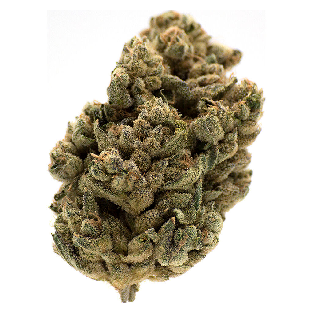 Jungl' Cake | Ontario Cannabis Store