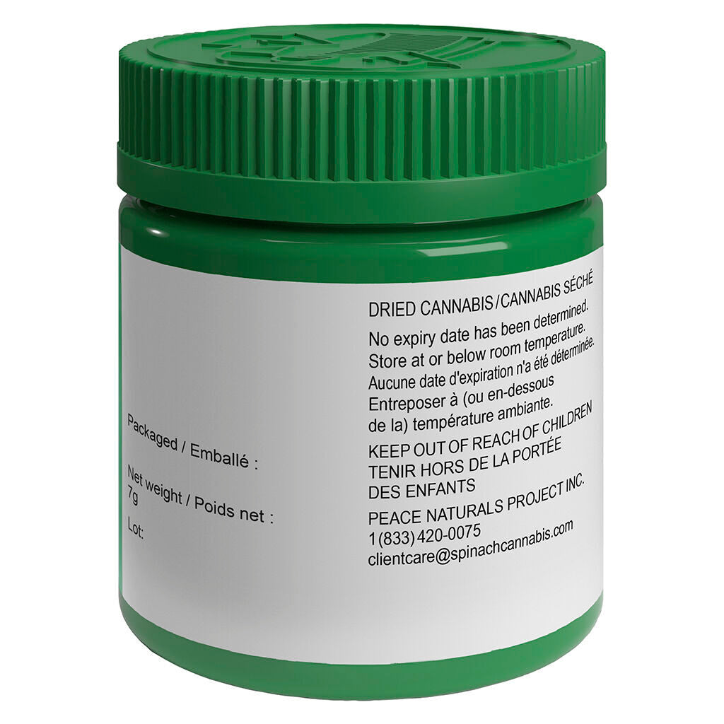 Space Cake | Ontario Cannabis Store